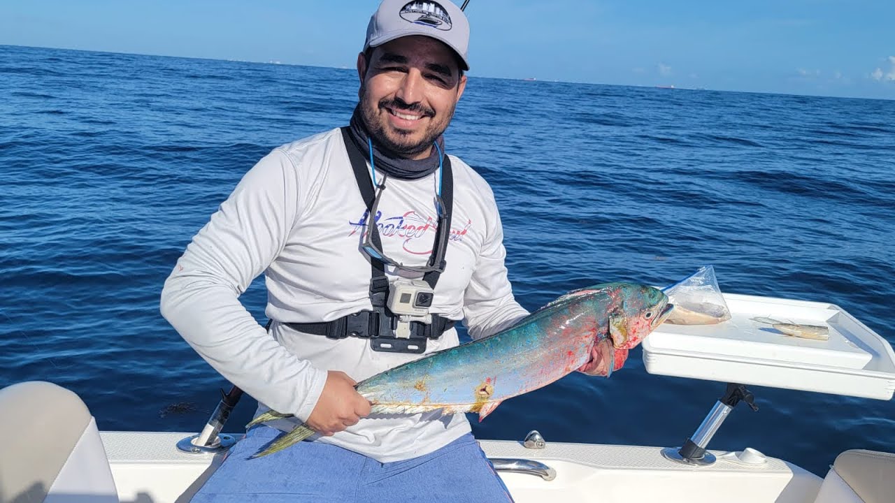 Brevard reef offshore fishing robalo r160 cape canaveral - YouTube