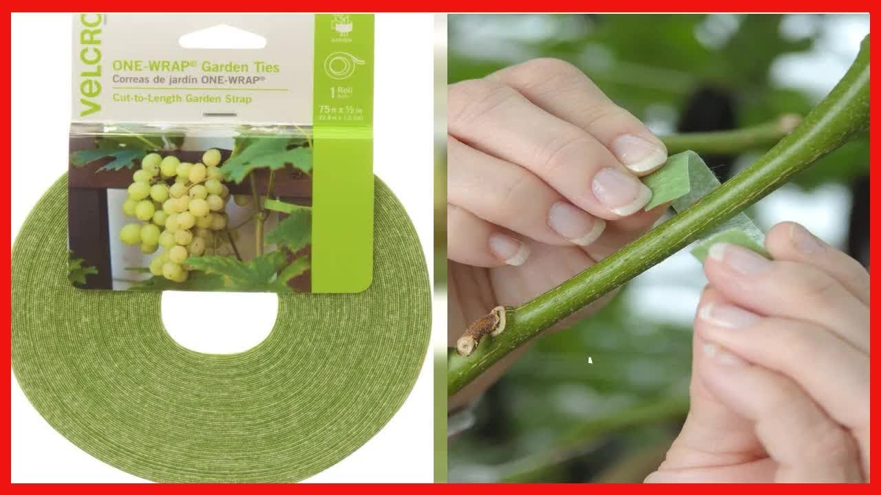 VELCROBrand 90648 ONE-WRAP Supports for Effective Growing Strong ...