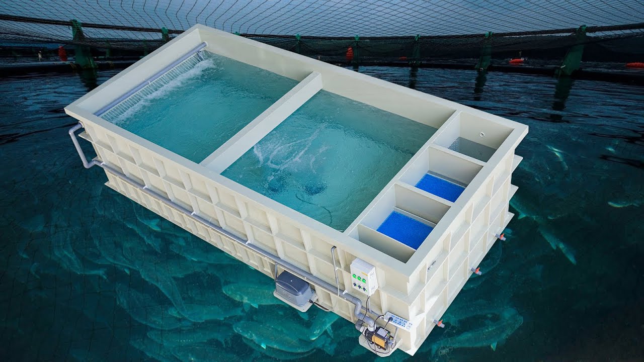 FISHING FARM TEMPORARY BREEDING SYSTEM - YouTube