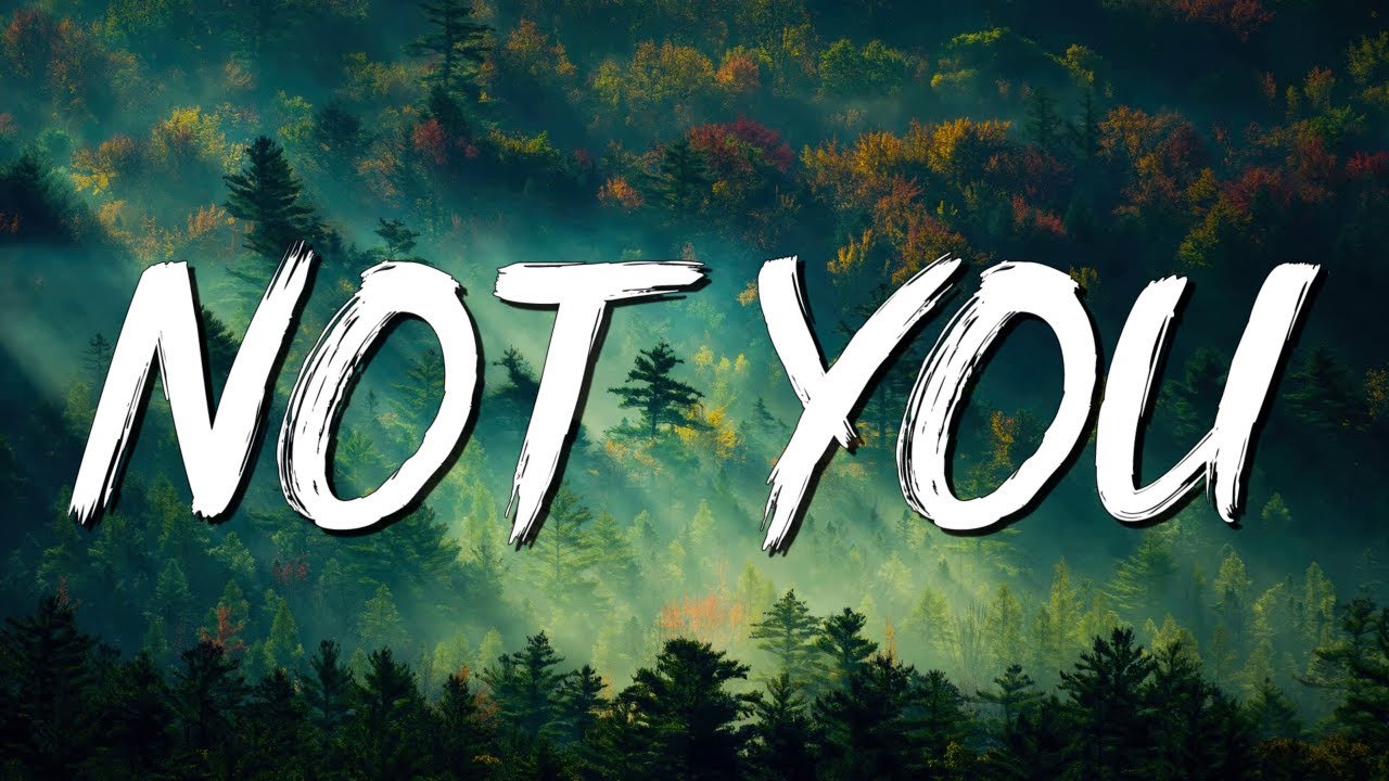Not You - Alan Walker & Emma Steinbakken (Lyrics) - YouTube
