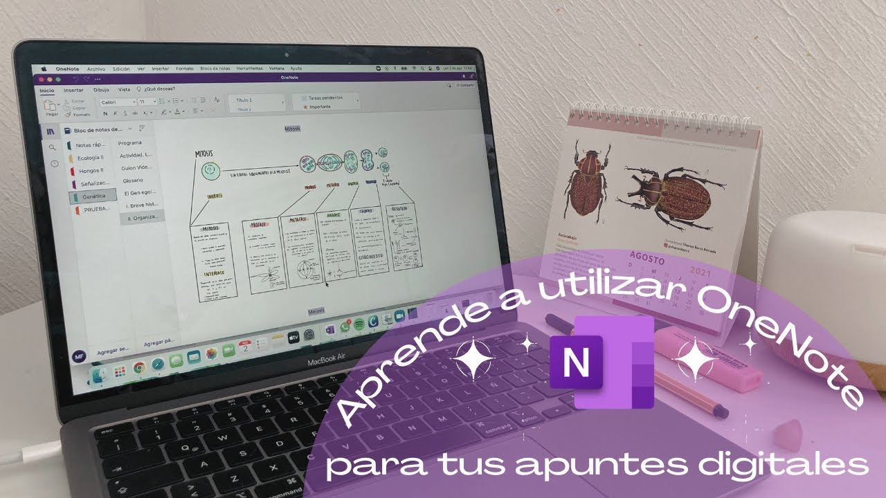 Aprende a utilizar OneNote Programa GRATIS para tus apuntes digitales💻 ...