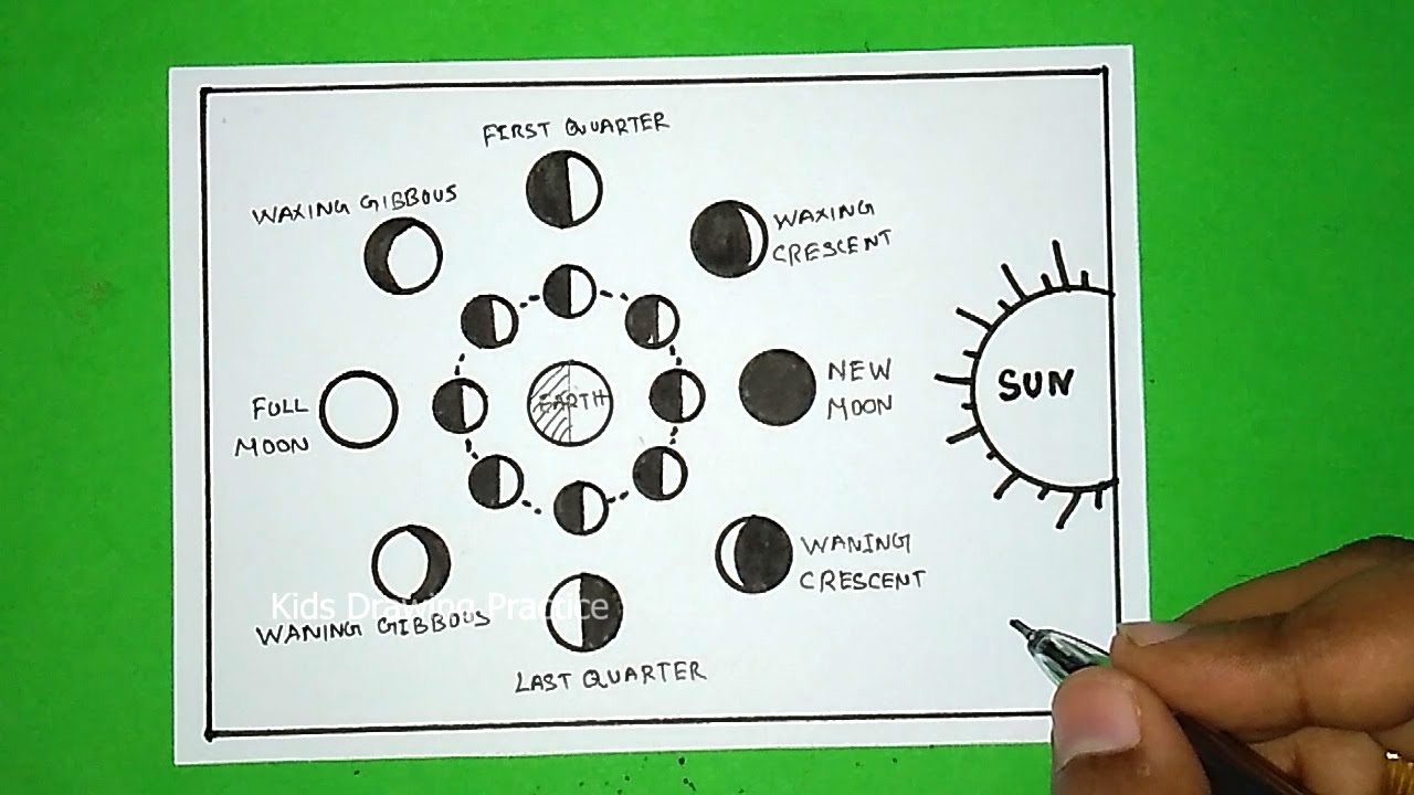 Phases of moon diagram | How to draw moon phases drawing | science ...