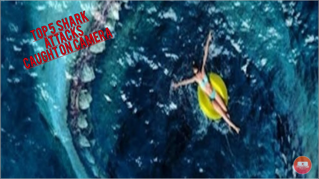 Top 5 shark attacks caught on camera - YouTube