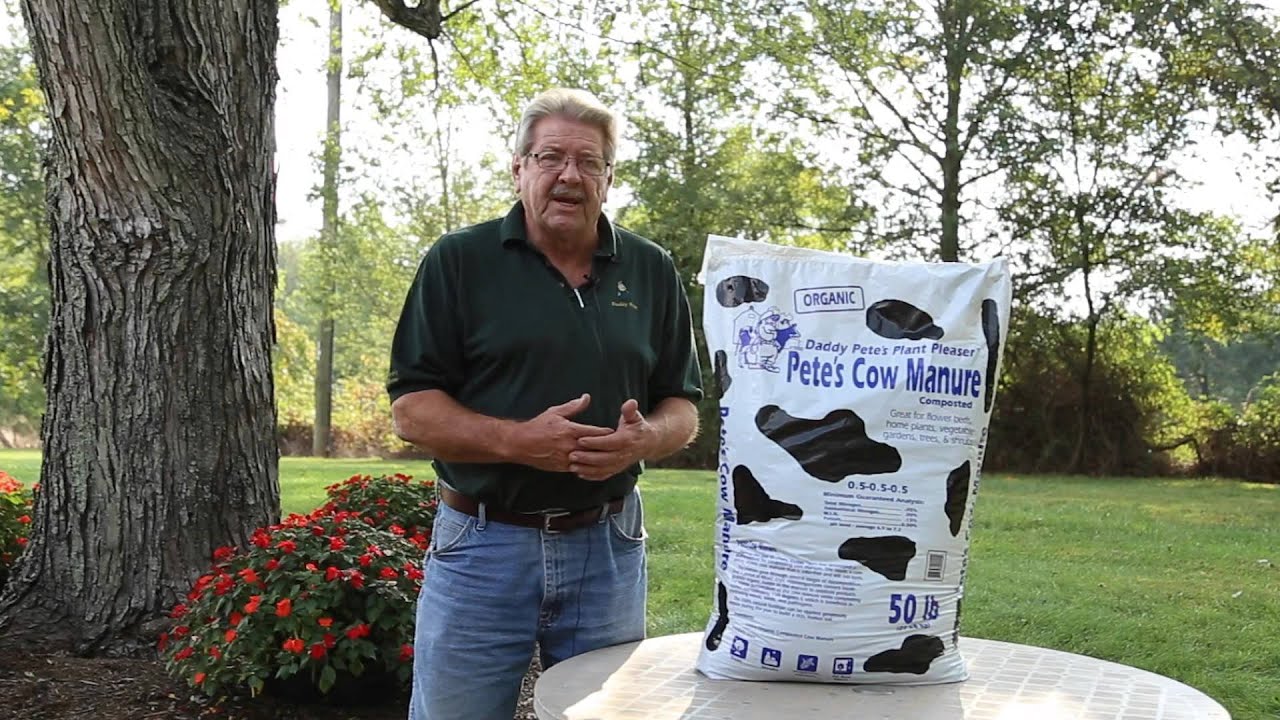 Pete's Cow Manure - YouTube