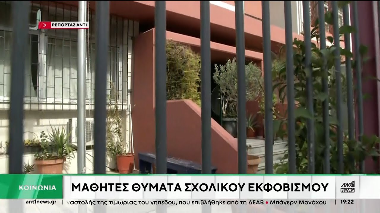 Ημέρα κατά του Σχολικού Εκφοβισμού: Μαρτυρίες παιδιών στον ΑΝΤ1 - YouTube