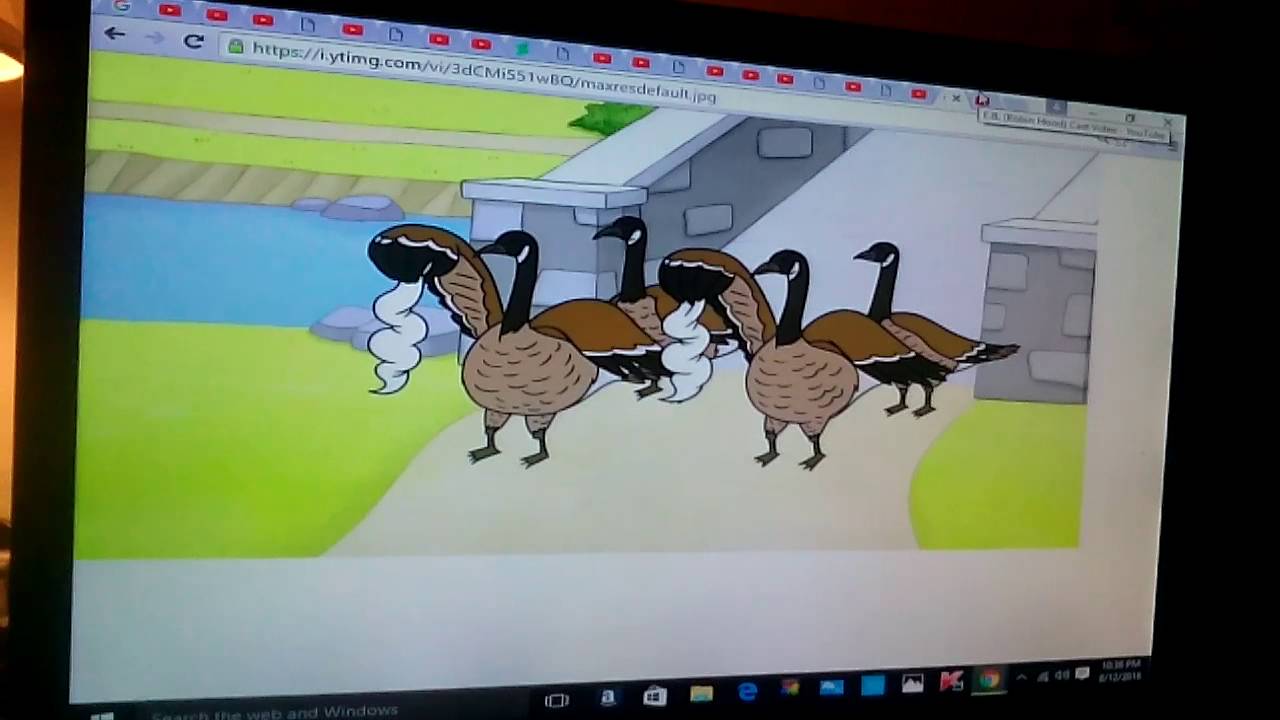 Finding ginger cast video - YouTube