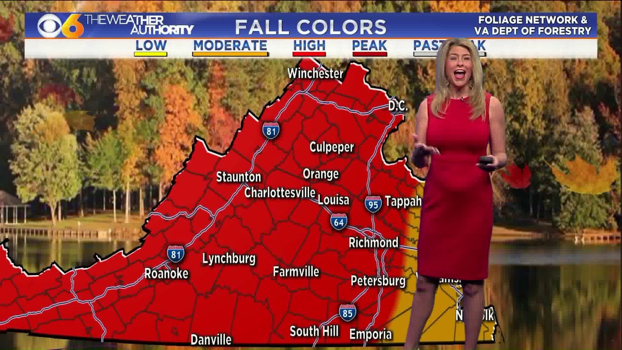 Meteorologist Nikki-Dee Ray (October 30, 2015) - YouTube