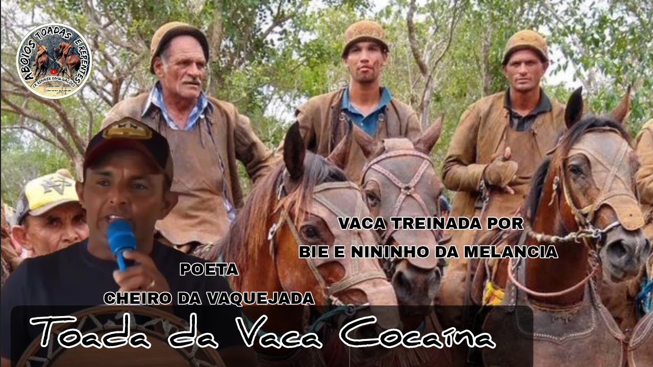 Toada da Vaca Cocaína - Poeta Cheiro da Vaquejada - Vaca Treinada Por ...