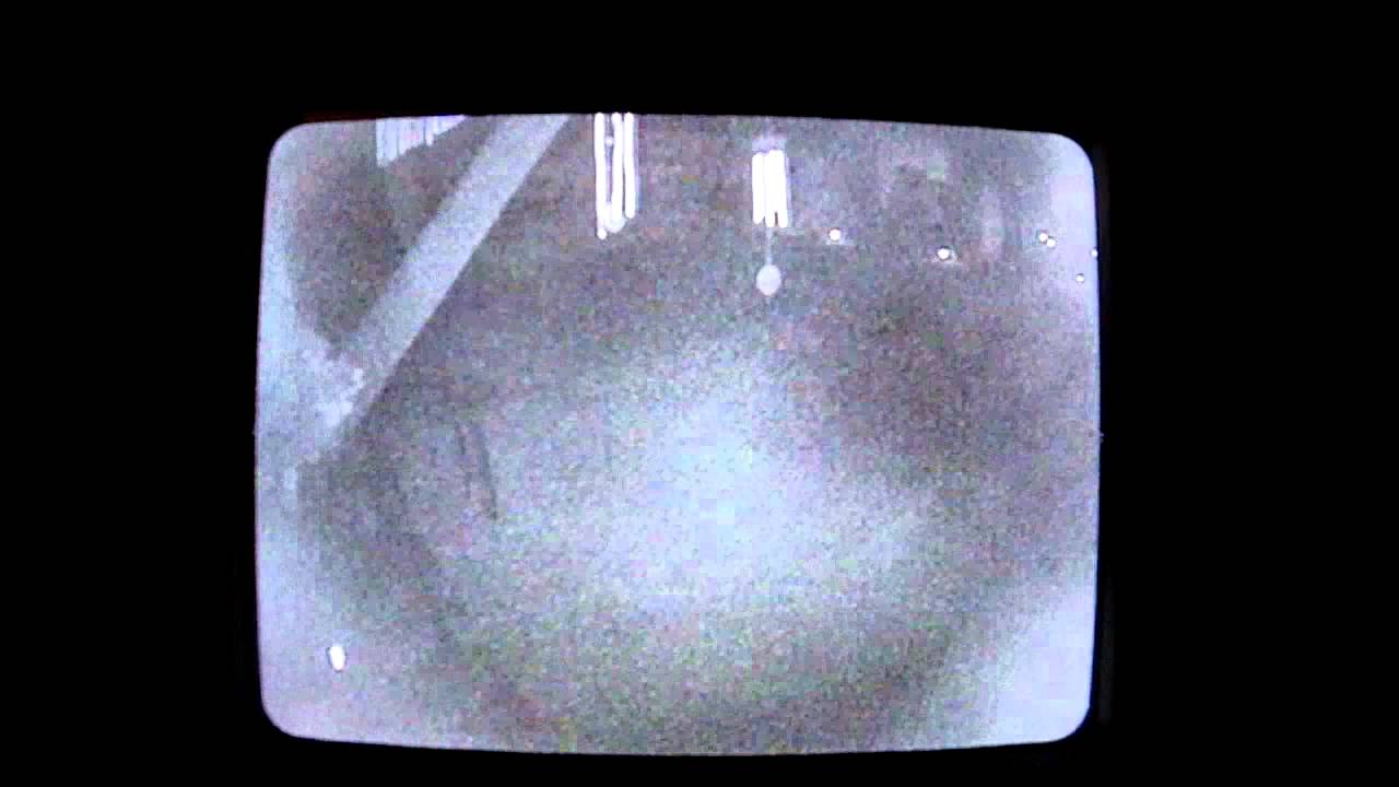 Bats On Security Cam Late Night - YouTube