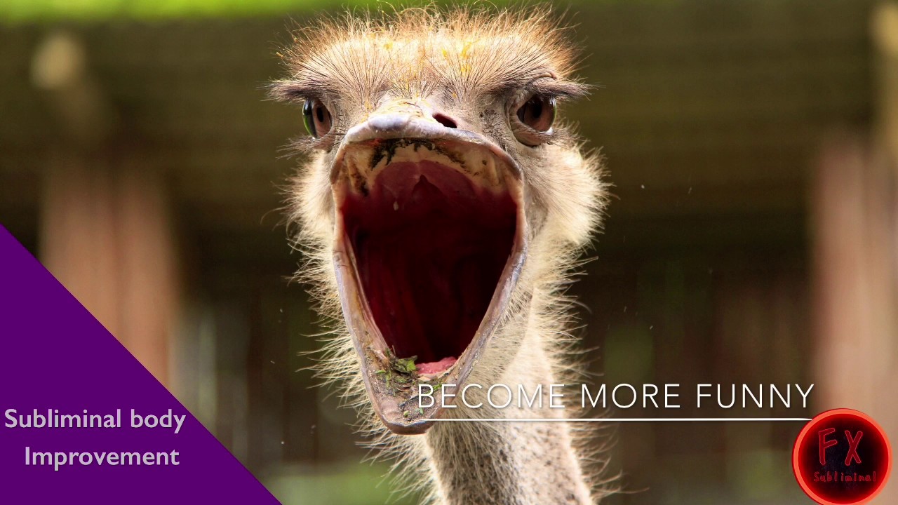 Become More Funny (subliminal) - YouTube