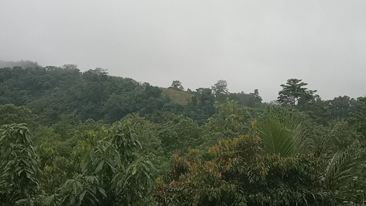 Relaxing View With Relaxing Sound Of Rain - YouTube