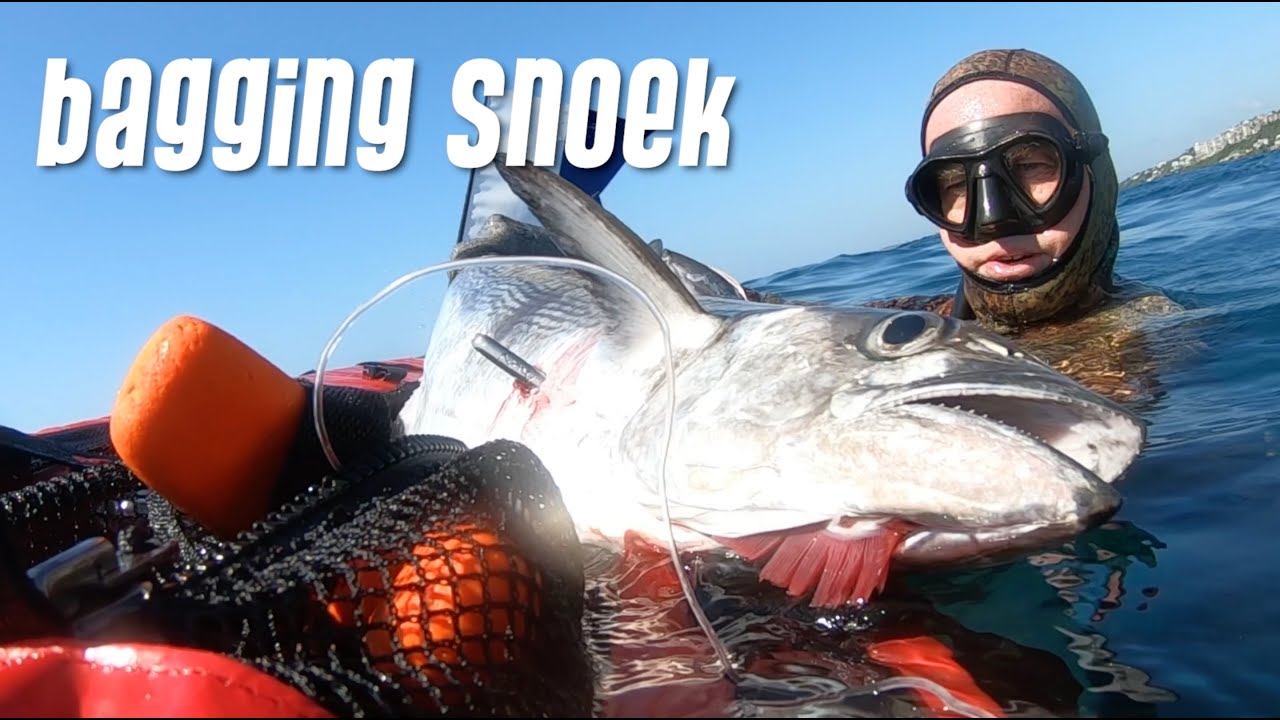 Spearfishing in South Africa |'Bagging Snoek' in KZN - YouTube
