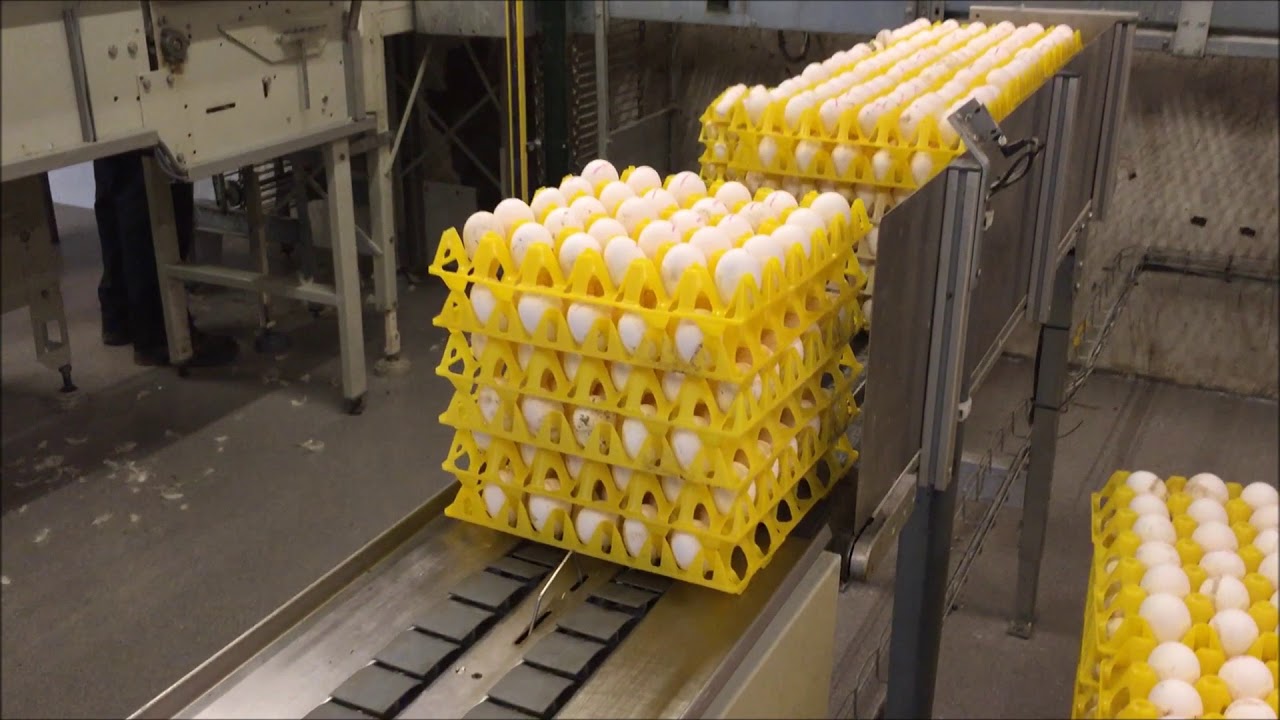 Van Roessel Techniek: Moba Mopack 100 Farmpacker - YouTube