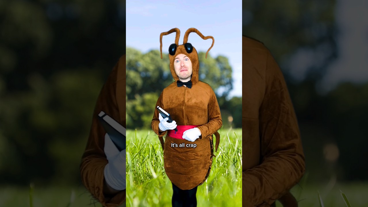 Dung Beetle Restaurant 💩 #comedy #insects #shorts - YouTube