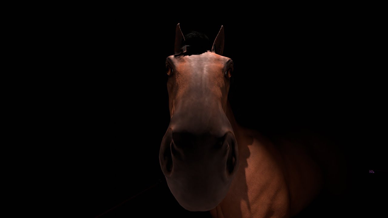 How Hungry? - Animation - YouTube