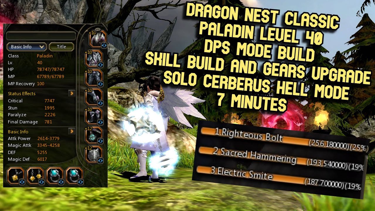 DN Classic Paladin Lv 40 DPS Mode Skill Build & Gears Upgrade Solo ...