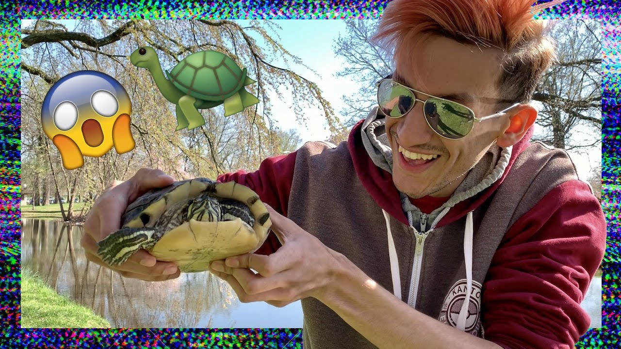 Caught a Wild Turtle! 😱🐢 - YouTube