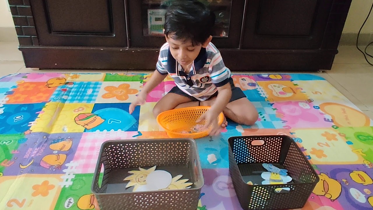 Kids / Toddlers DIY Activity - Sorting Similar and different objects ...