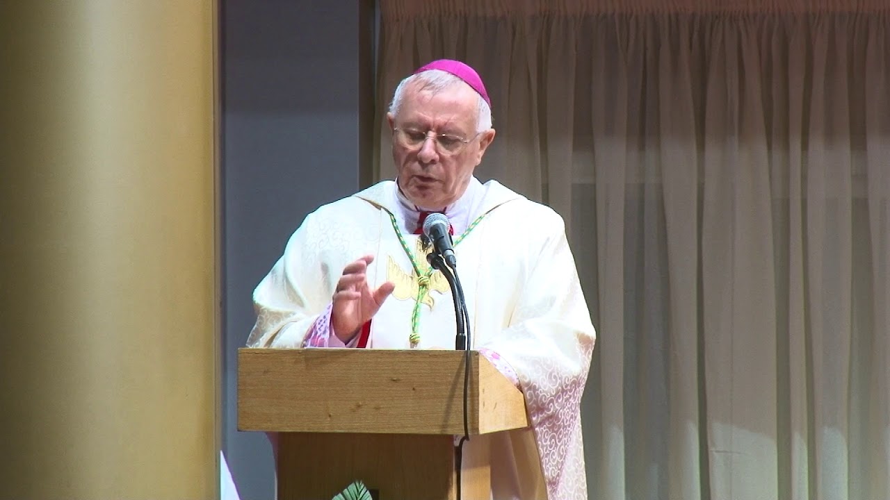 Seek Reconciliation and Peace! - YouTube