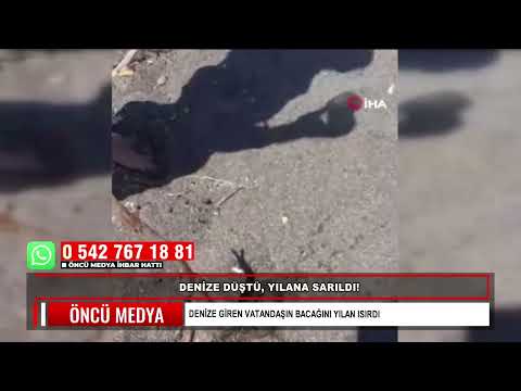 DENİZE DÜŞTÜ, YILANA SARILDI! DENİZE GİREN VATANDAŞIN BACAĞINI YILAN ISIRDI