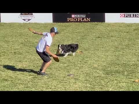Jack & Ferris Fahle 2022 Purina IDC champs