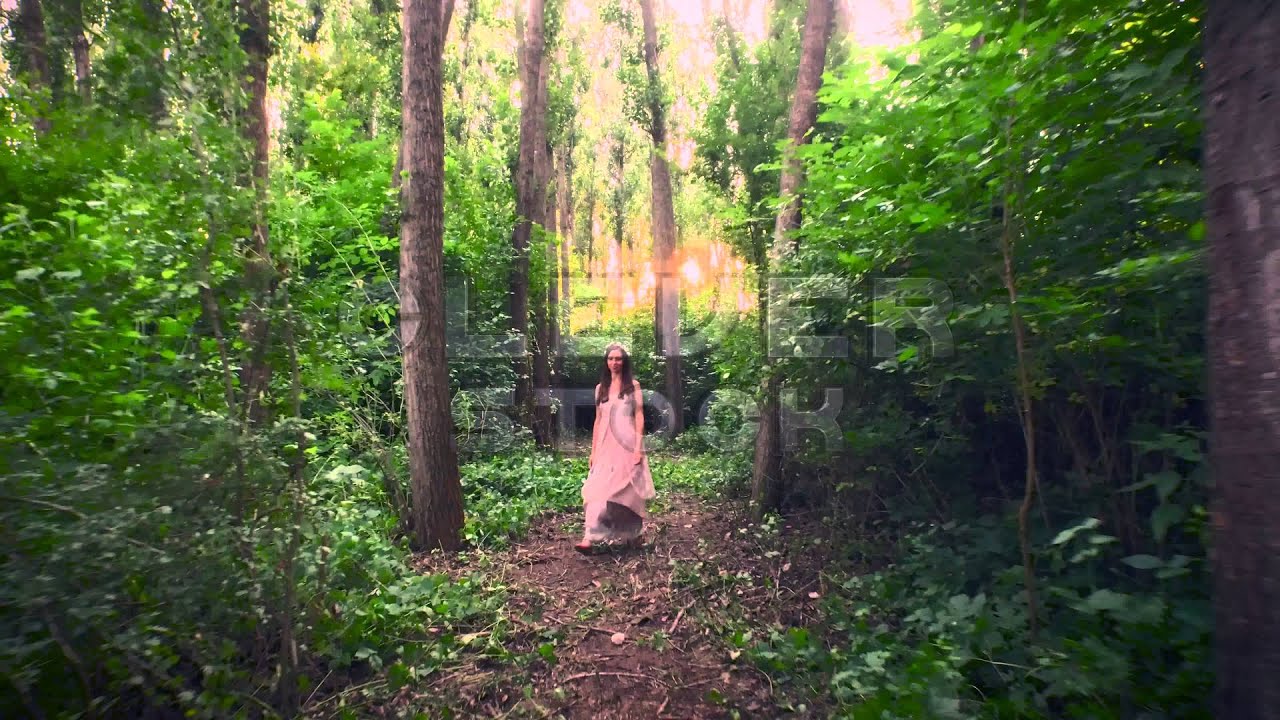 Magic Forest Fairy Tale Woman Princess Walking In Forest Tracking Shot ...