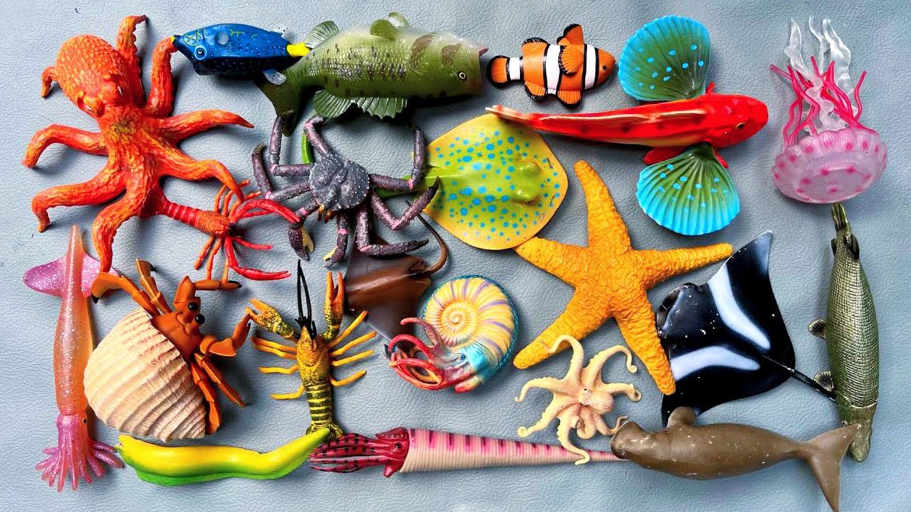 SEA ANIMALS LEMON SHARK,AMMONITE,SPOTTES EAGLE RAY OCTOPUS,LARGEMOT BAS ...