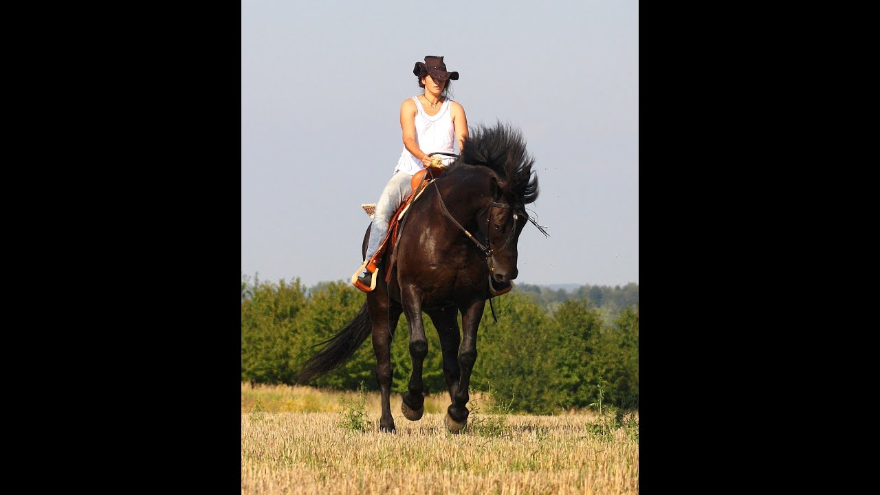 'Unbreakable Horse' - Get Off My Back - YouTube