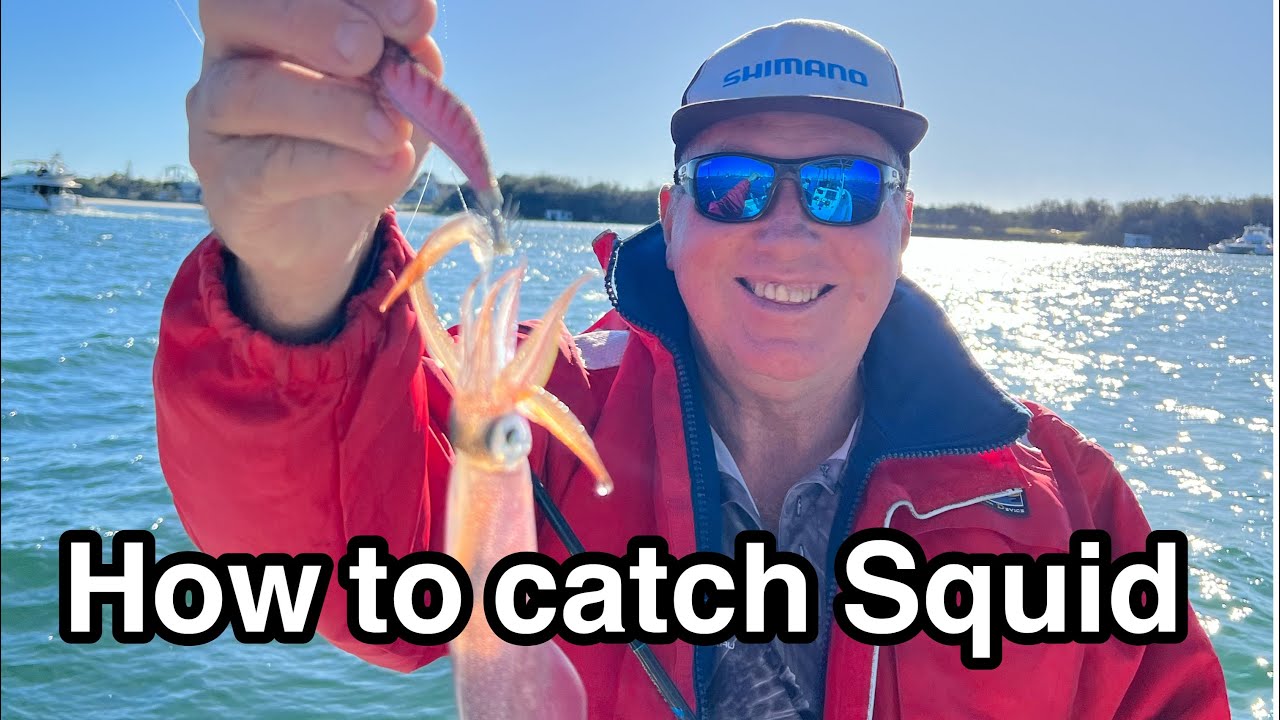 How to catch Arrow Squid techniques and tips explained - YouTube