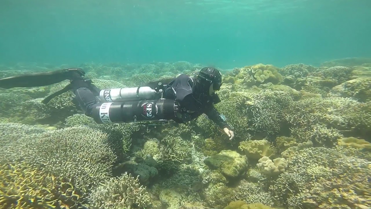 SF2 Side Mount ECCR - YouTube