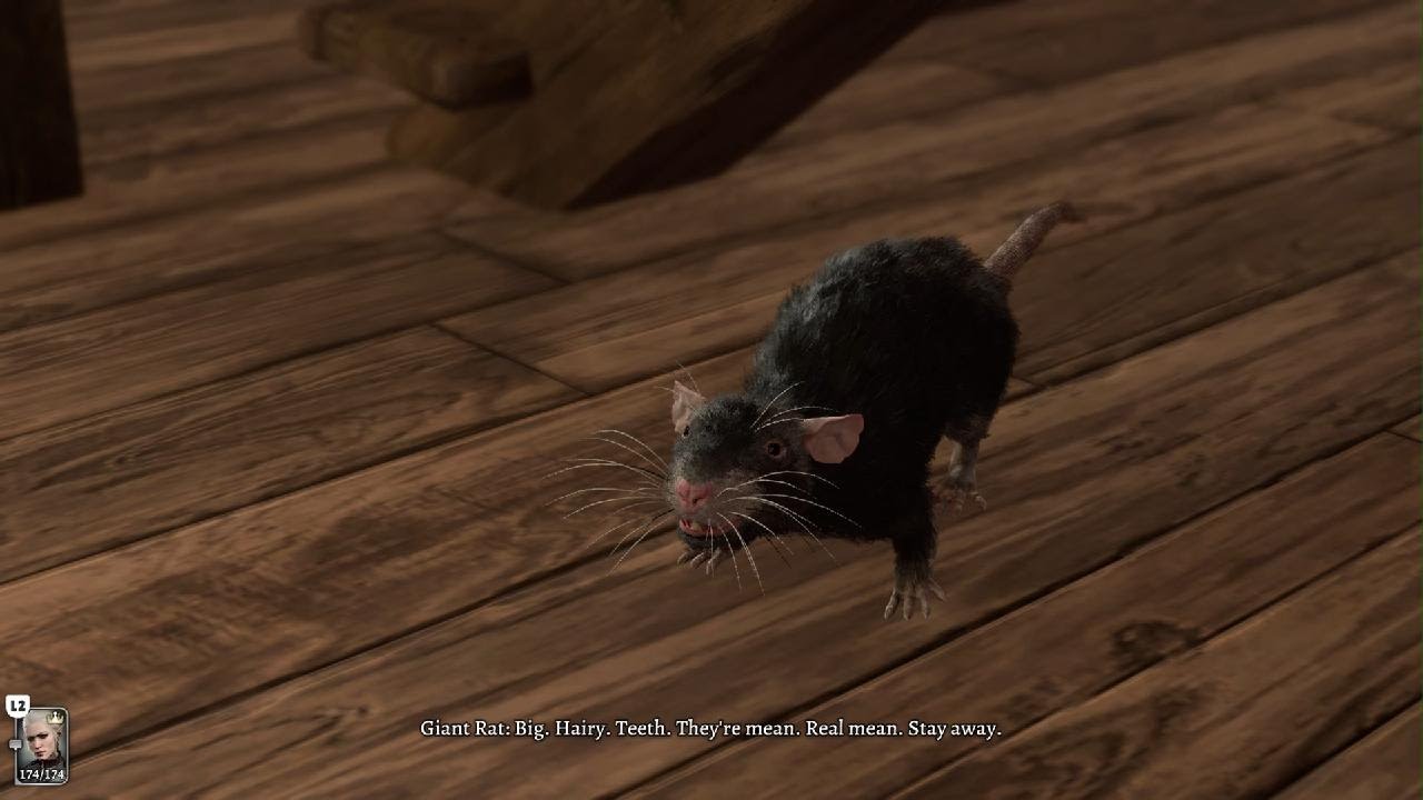 [BG3 Baldur's Gate 3] Szarr Palace: Giant Rats - YouTube