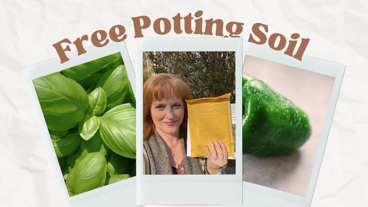 FREE potting soil I Tips on how I have received free potting soil for ...