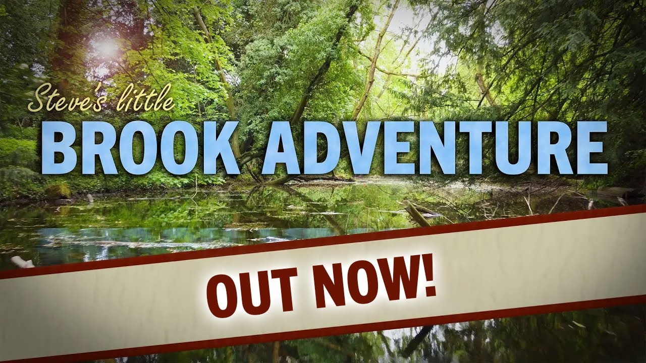 A new little adventure is here! (Link in description) - YouTube