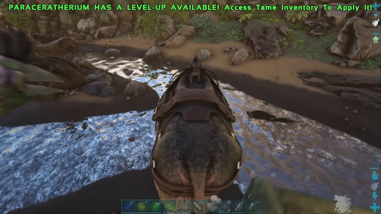 Taming a paracer - YouTube