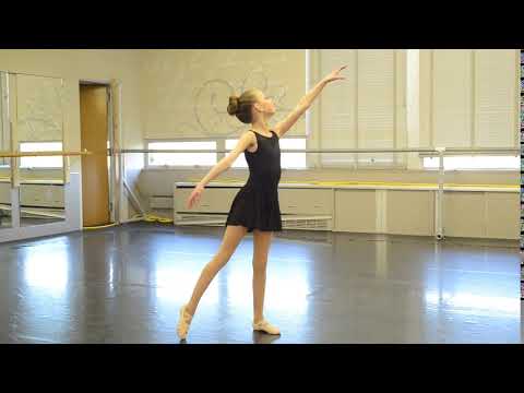 512101S HDW DANCE Black Girls Ballet Mesh Skirted Leotard