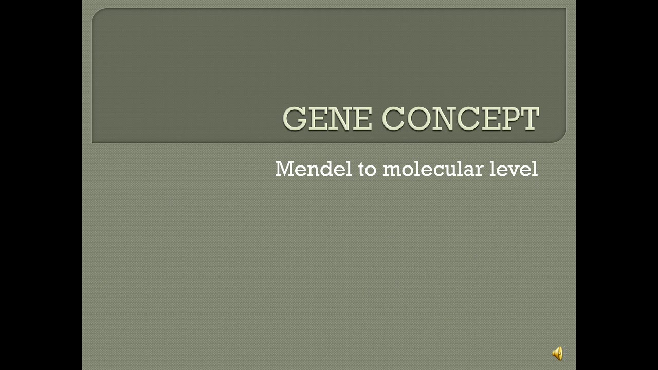 Gene concept part 1 - YouTube