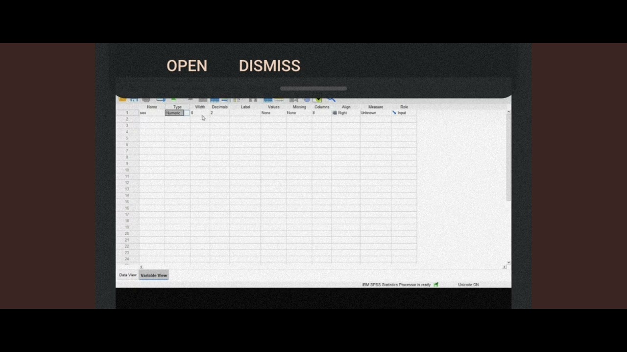 Spss Intro Youtube 3322