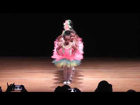 TRİO SANAT KURSU 2017 - 2018 YIL SONU BALE GÖSTERİSİ