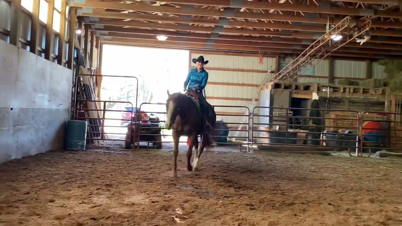 Western Horsemanship Adult - YouTube