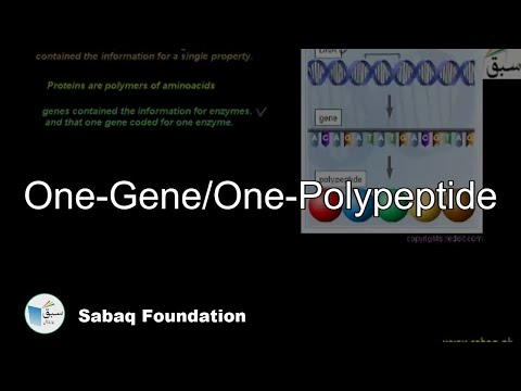 One-Gene/ One-Polypeptide, Biology Lecture | Sabaq.pk | - YouTube