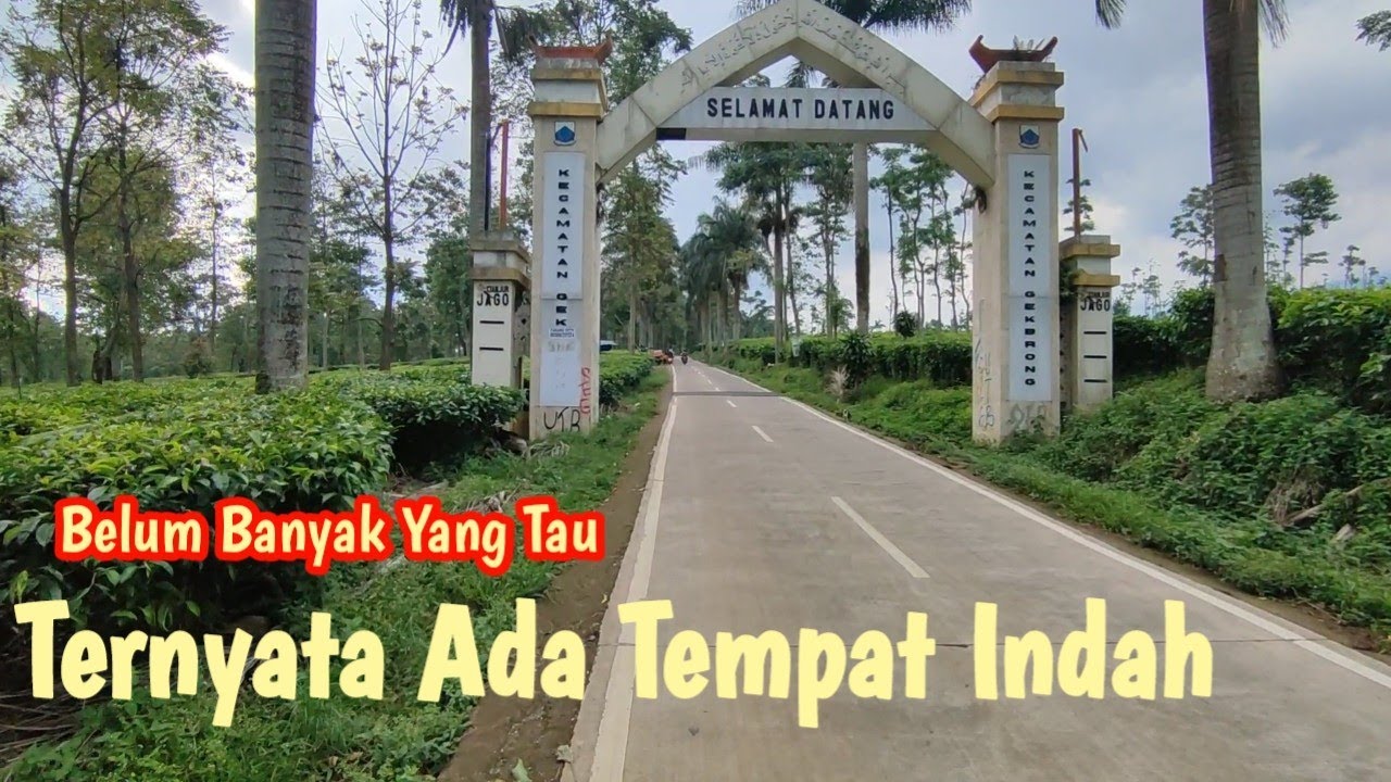 PERJALANAN DARI CUGENANG MELEWATI KEBUN TEH GEKBRONG CIANJUR JAWA BARAT ...