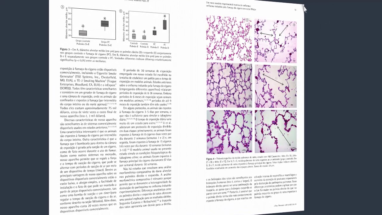 Introdução a Inferência Estatística Video Promocional - YouTube