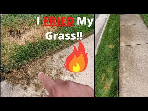 Will Scotts Fall Fertilizer Burn Grass