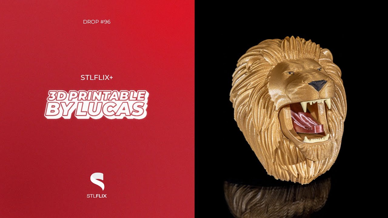 STLFLIX + 3DprintablebyLucas - YouTube