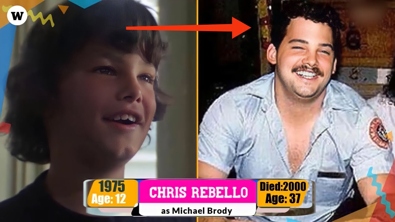 JAWS (1975 Film) All Cast THEN and NOW Real Name and Age - YouTube