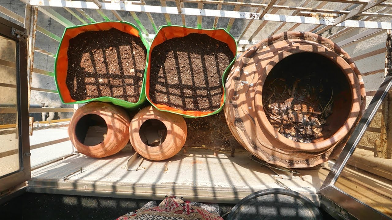 Lazy Home Composting - I Don't Turn Or Mix The Compost Pile | Make your ...