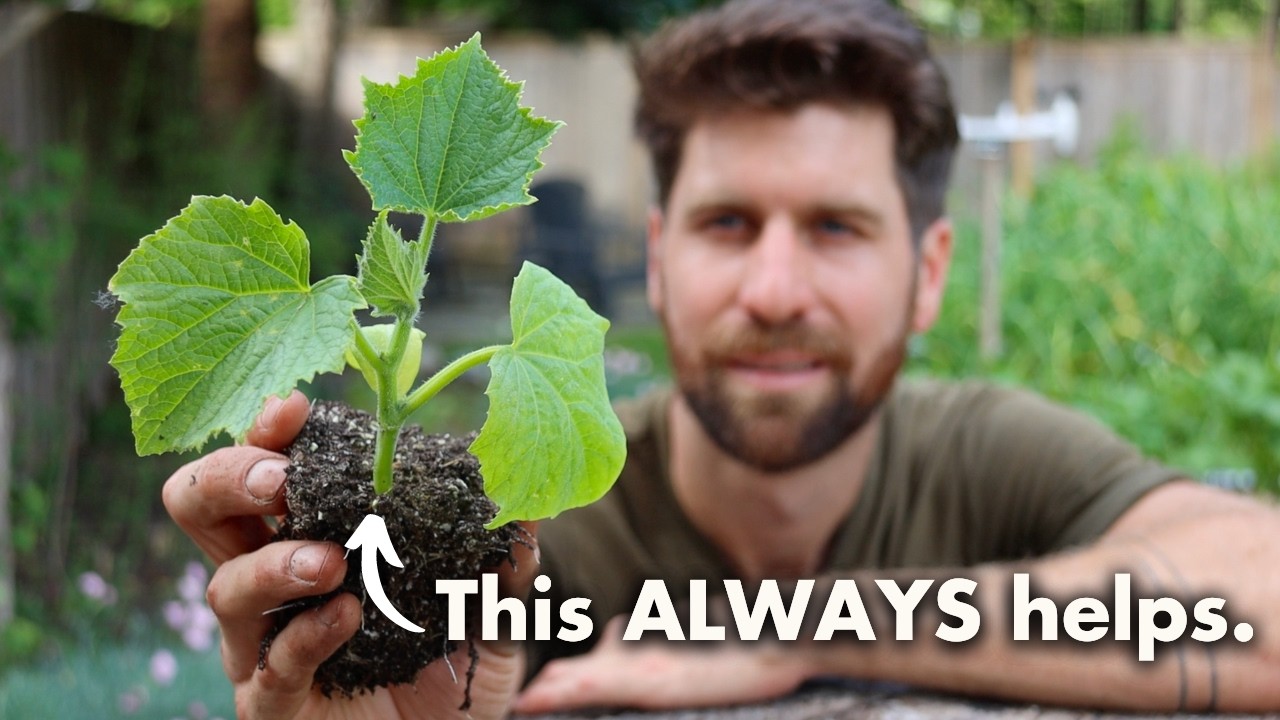 Planting Cucumbers at the end of a S***ty Week! - YouTube