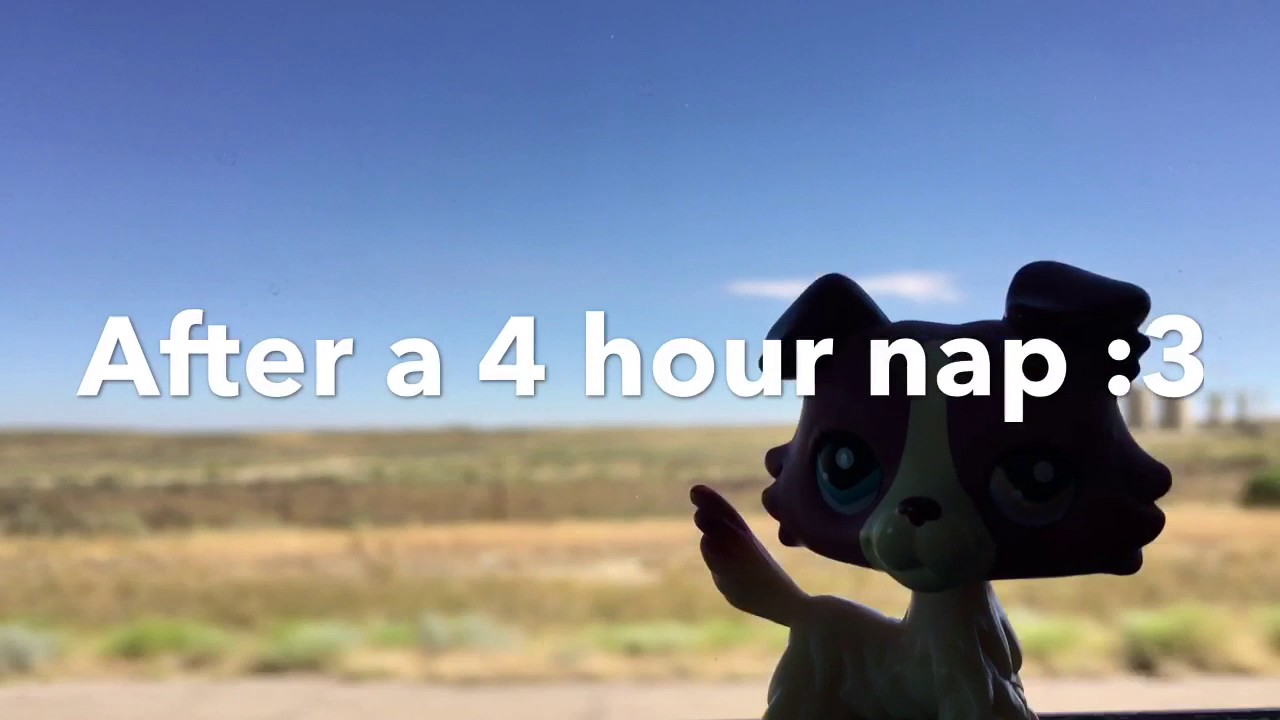 LPS: Road trip vlog! #1 - YouTube