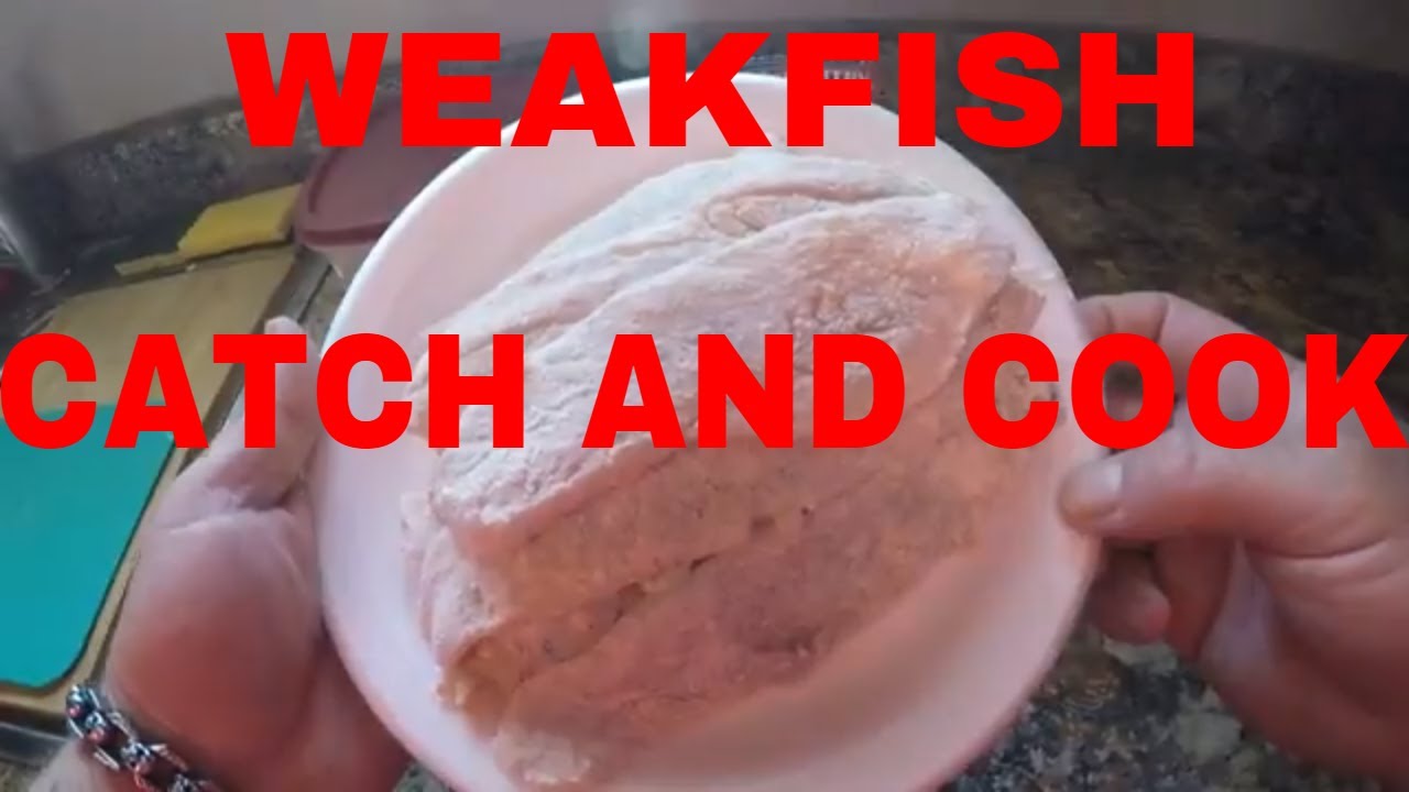 WEAKFISH (YELLOW TROUT) CATCH AND COOK - YouTube