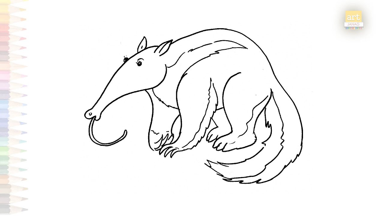 Anteaters easy drawings | Animal drawing tutorials | How to draw A ...